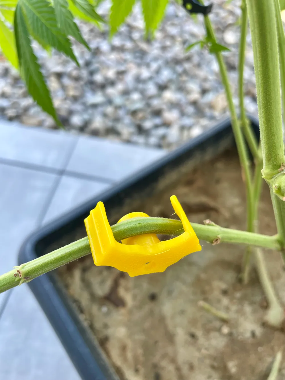 LST Clip - Low Stress Training for Plants by fanatikz MakerWorld ...