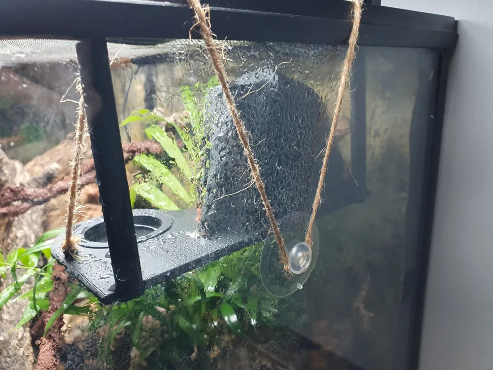 Reptile feeding or drinking ledge and bowl by MakerBon MakerWorld: Download Free 3D Models