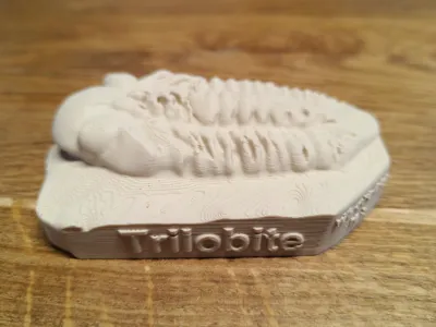 3D Printed Biology Models - MakerWorld