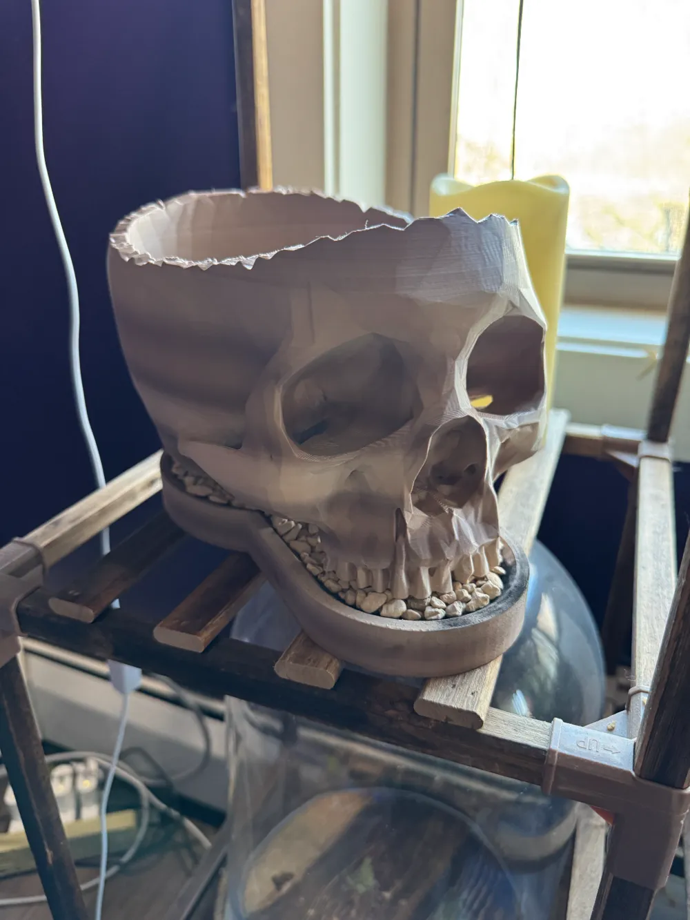 Skull Planter in Two Sizes with Drip Tray - Free 3D Print Model ...