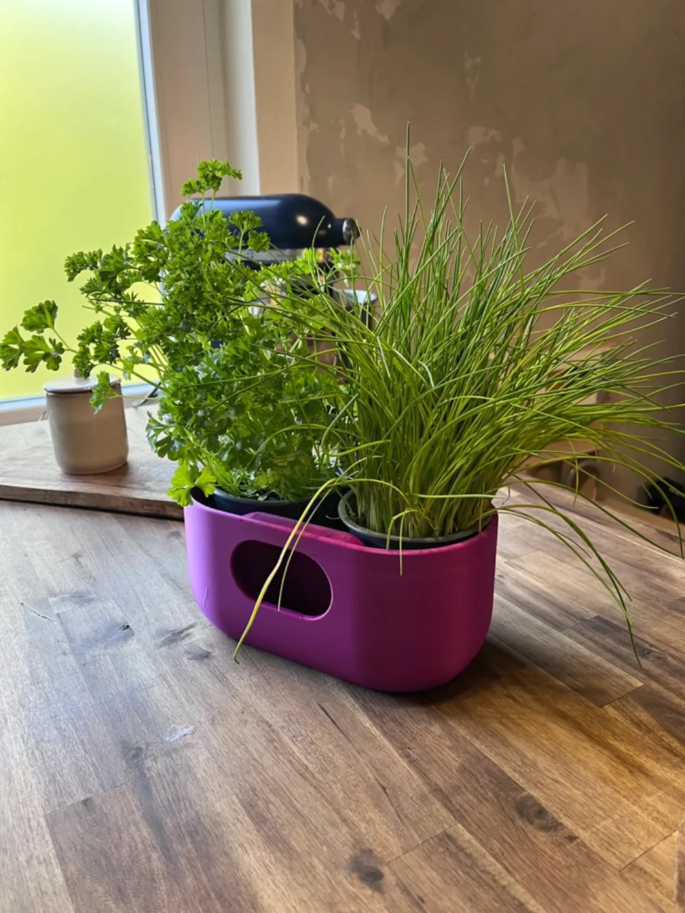 Self Watering Design Planter - Free 3D Print Model - MakerWorld
