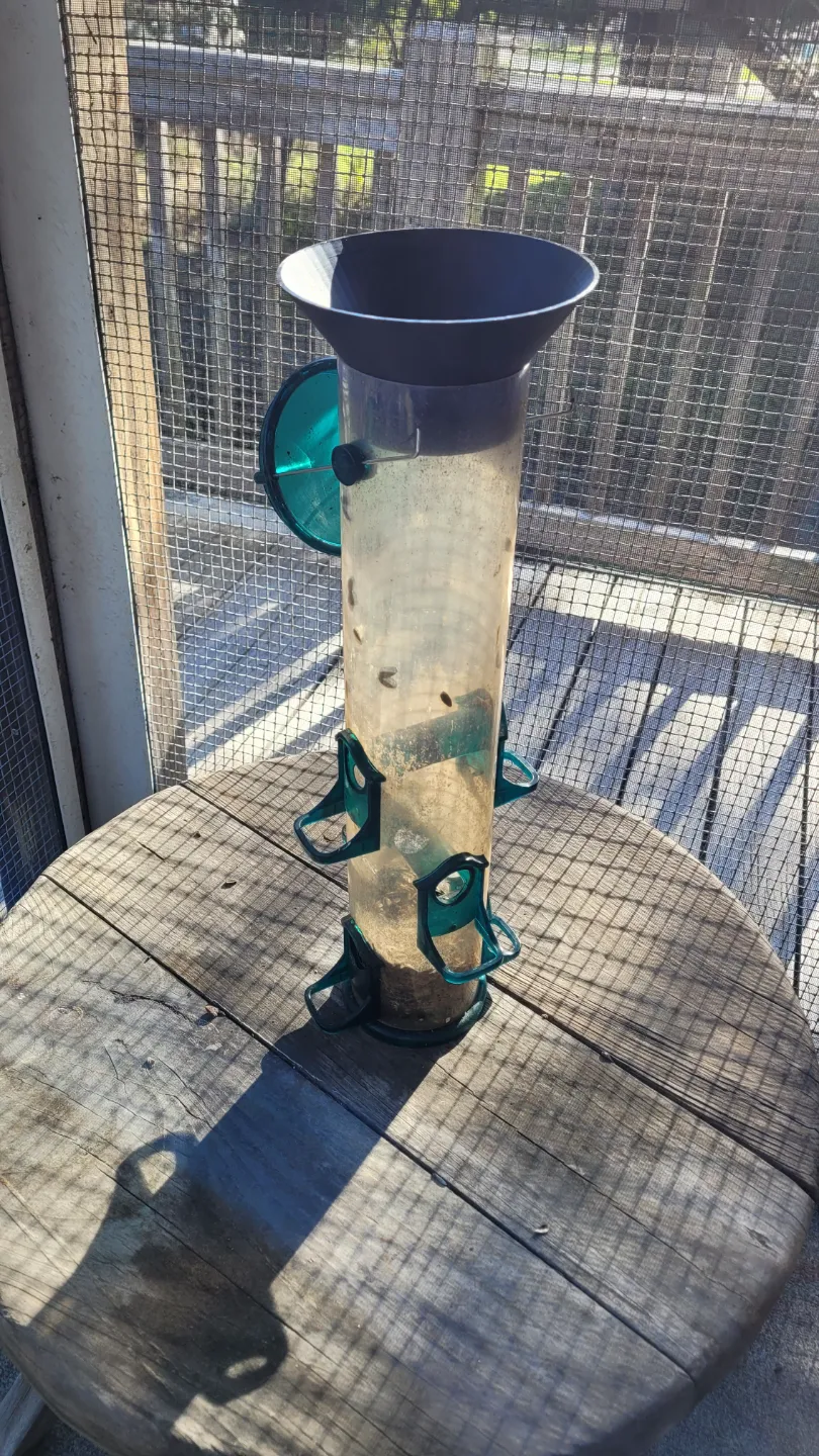 Bird Feeder Funnel by sidbarret007 - MakerWorld