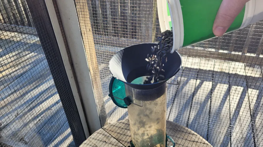 Bird Feeder Funnel by sidbarret007 - MakerWorld