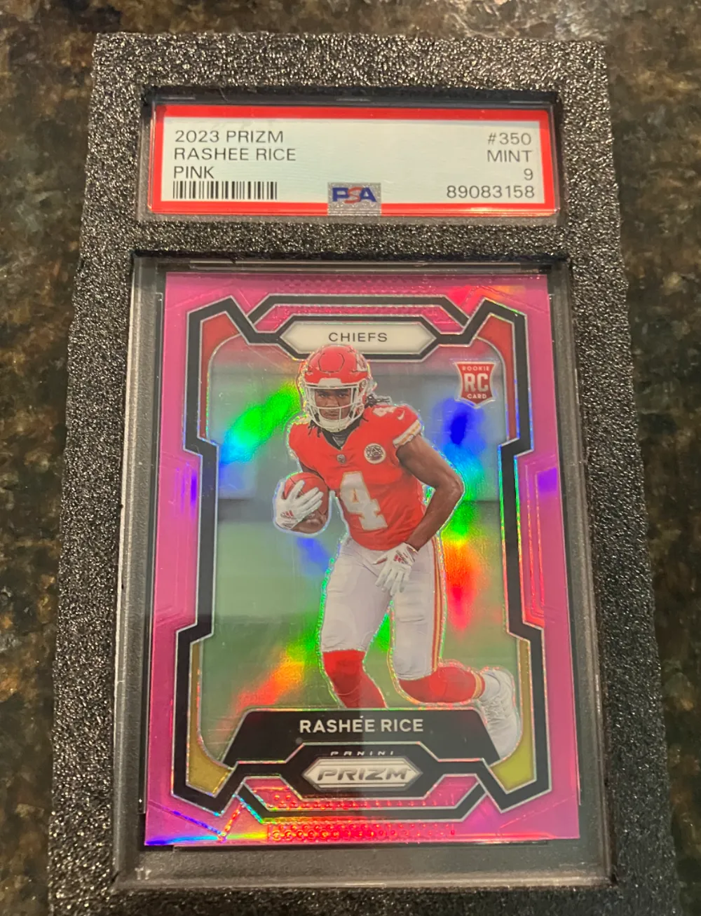 PSA Slab Protector/Stand by enterstandman - MakerWorld