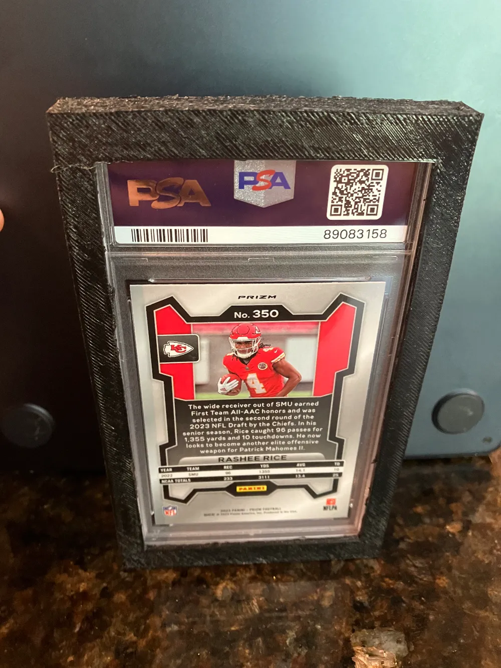 PSA Slab Protector/Stand by enterstandman - MakerWorld