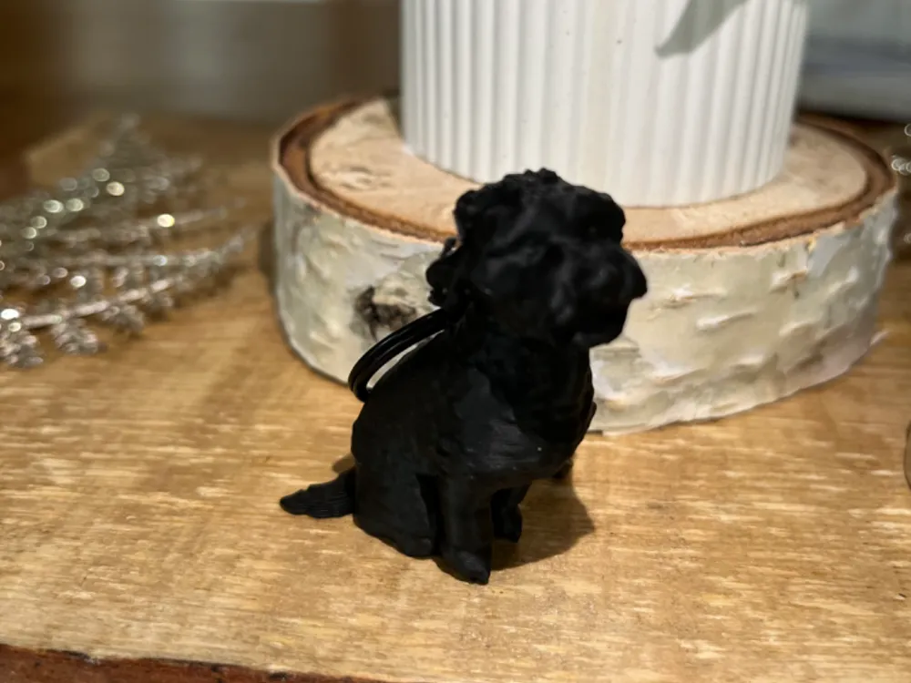 Cockapoo Keychain by Kjuwi76 MakerWorld: Download Free 3D Models