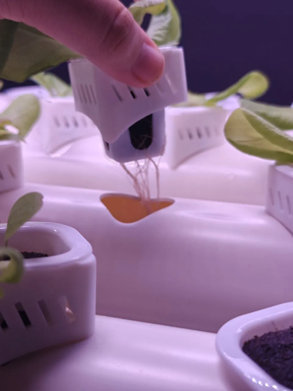 Hydroponic PVC Riser by citadel MakerWorld: Download Free 3D Models