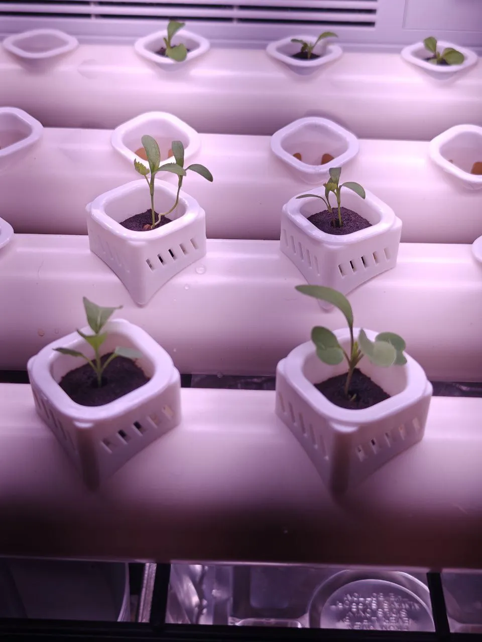 Hydroponic PVC Riser by citadel MakerWorld: Download Free 3D Models