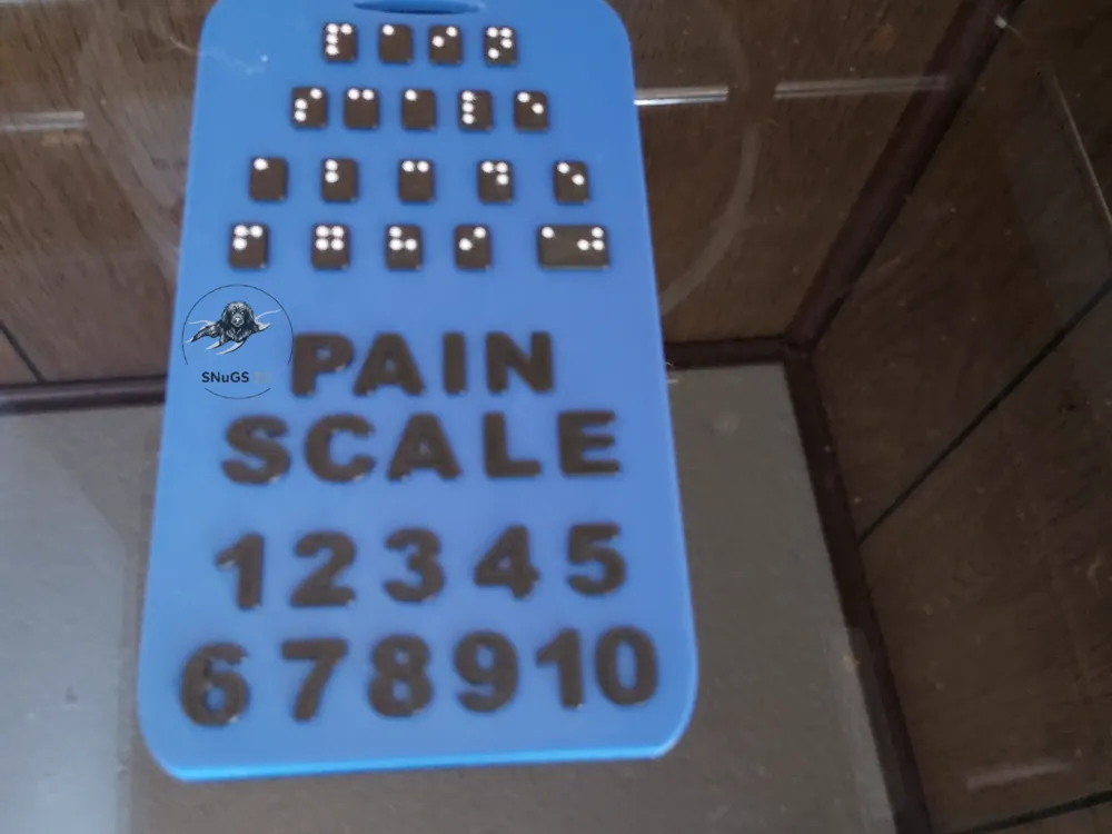 Braille Pain Scale Tag - Free 3D Print Model - MakerWorld