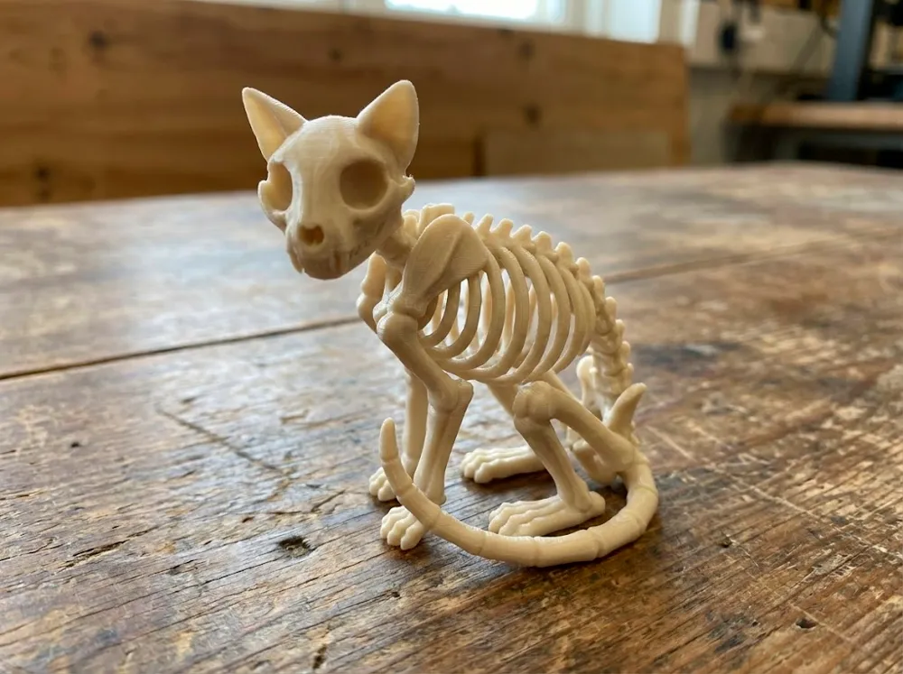 Chat squelette - Modèle d'Impression 3D Gratuit - MakerWorld