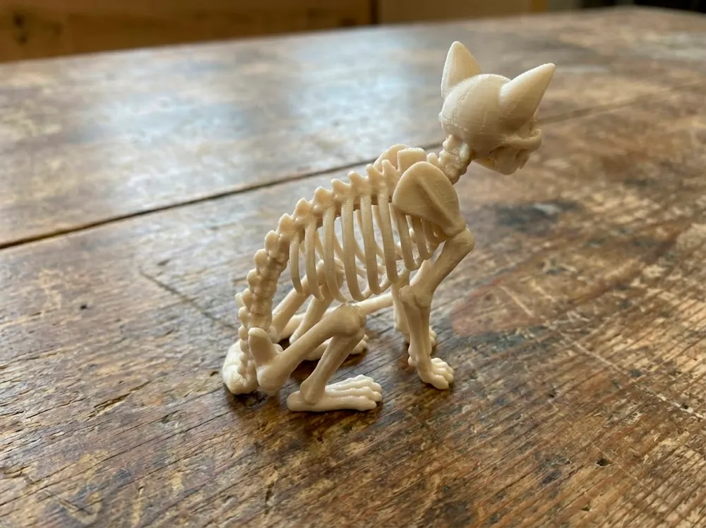 Skeleton Cat - Free 3D Print Model - MakerWorld
