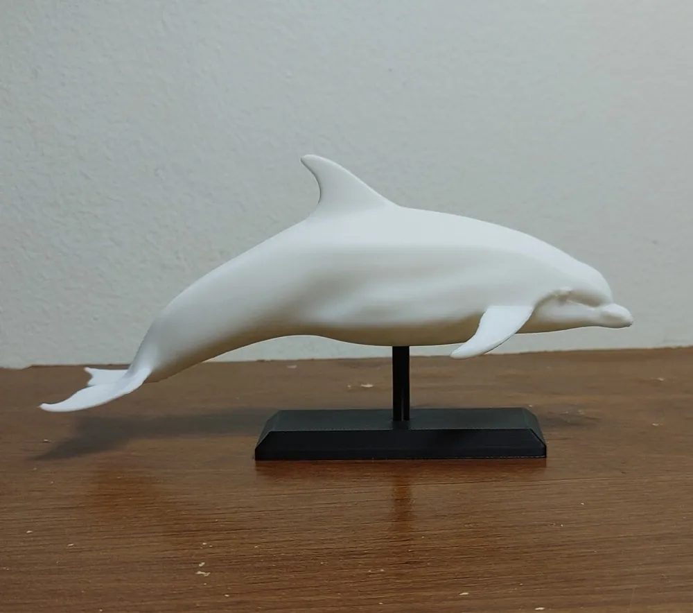 Dolphin Mount by Fish Prints MakerWorld: Download Free 3D Models