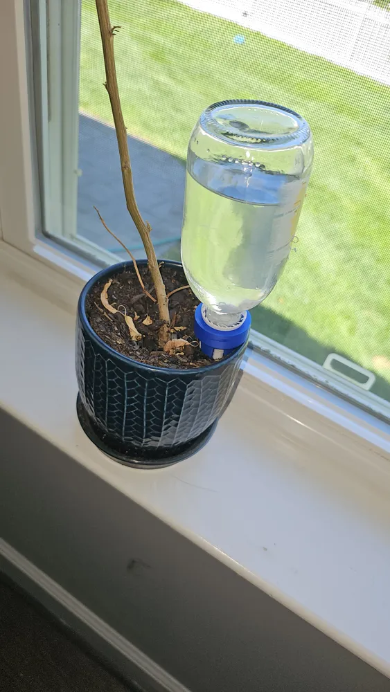 WickSmart Plant Watering Spike - Free 3D Print Model - MakerWorld