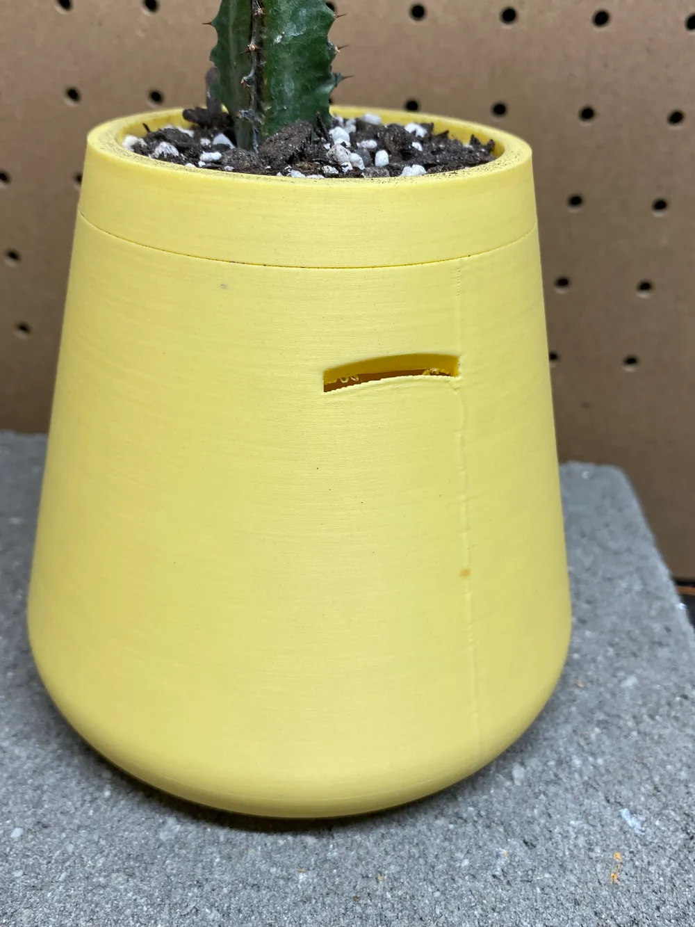 Coin Bank Flower Pot by The Little Yellow Shed - MakerWorld