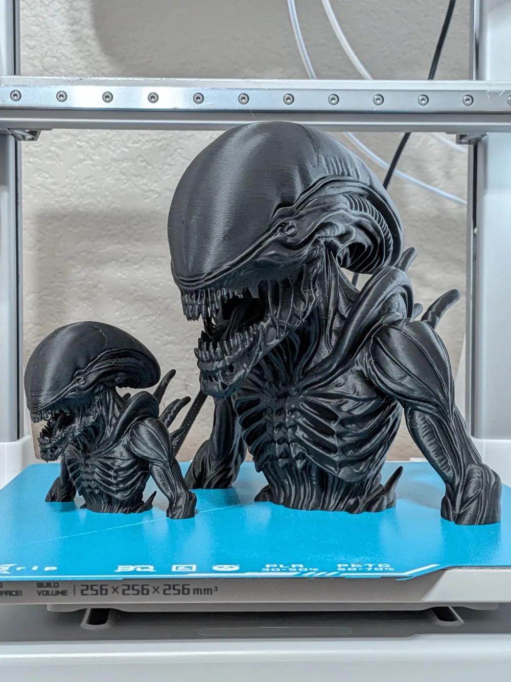 Xenomorph Alien - Free 3D Print Model - MakerWorld