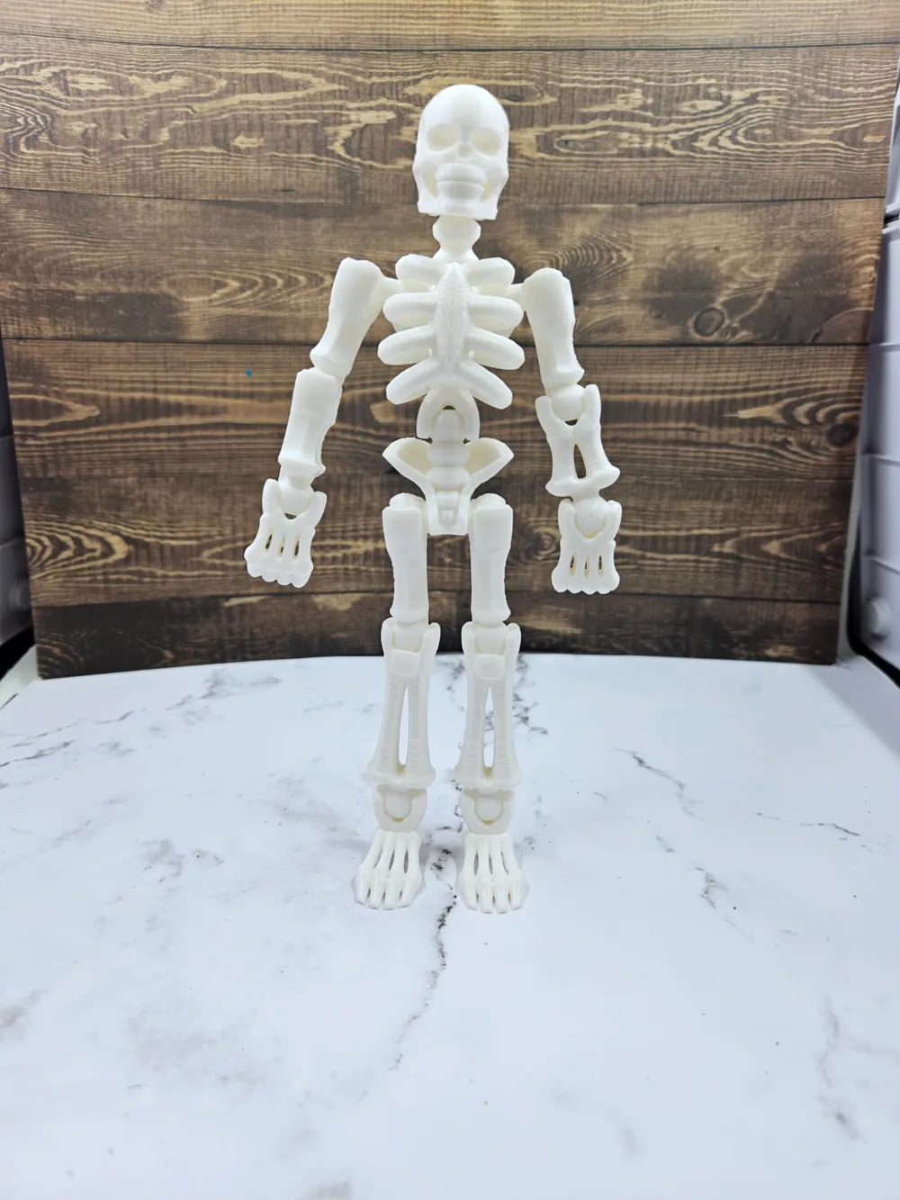 fully articulated skeleton by Captain_May - MakerWorld