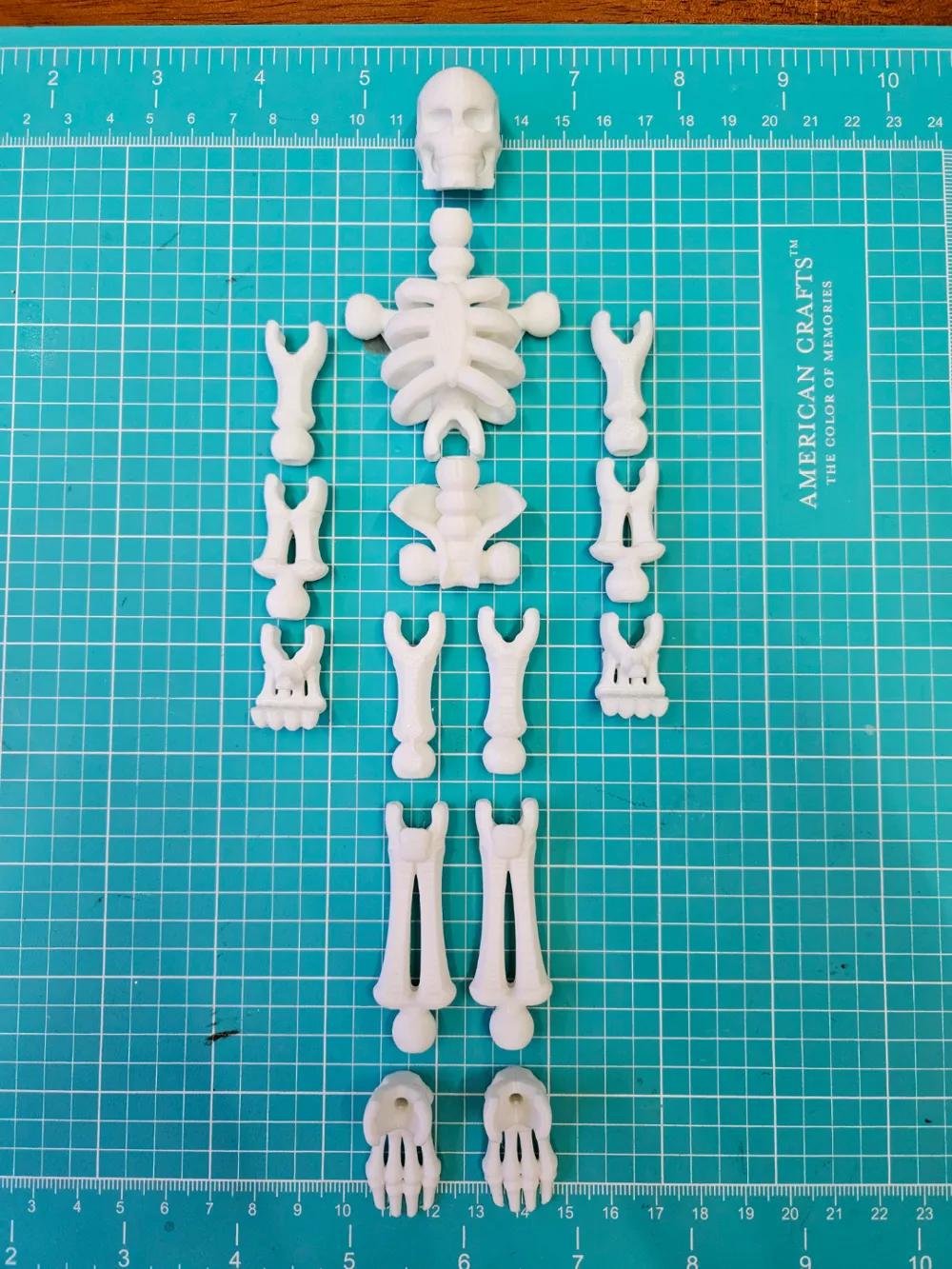fully articulated skeleton by Captain_May - MakerWorld