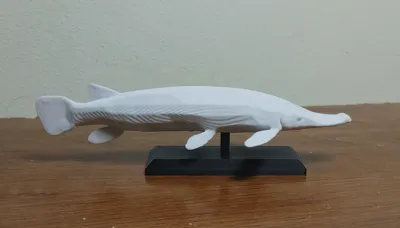 Alligator Gar Fish Mount by Fish Prints MakerWorld: Download Free 3D Models