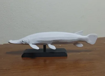 Alligator Gar Fish Mount by Fish Prints MakerWorld: Download Free 3D Models