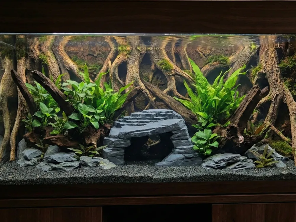 Natural Aquarium Terrarium Flat Rock Cave Hideout - Free 3D Print Model ...