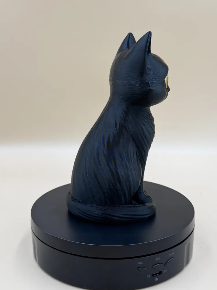 Midnight Moonwatch Cat - Free 3D Print Model - MakerWorld