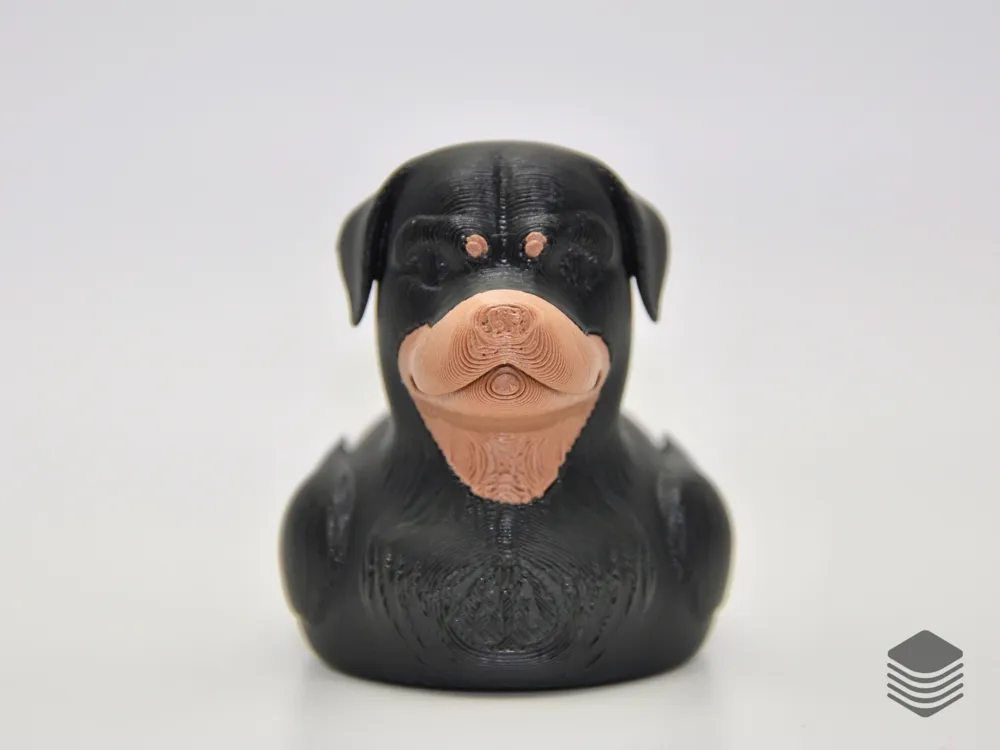 Rottweiler Duck - Free 3D Print Model - MakerWorld