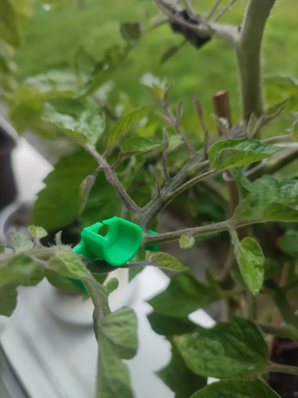 LST Clip (Low Stress Training) for Plants by Langa__ - MakerWorld