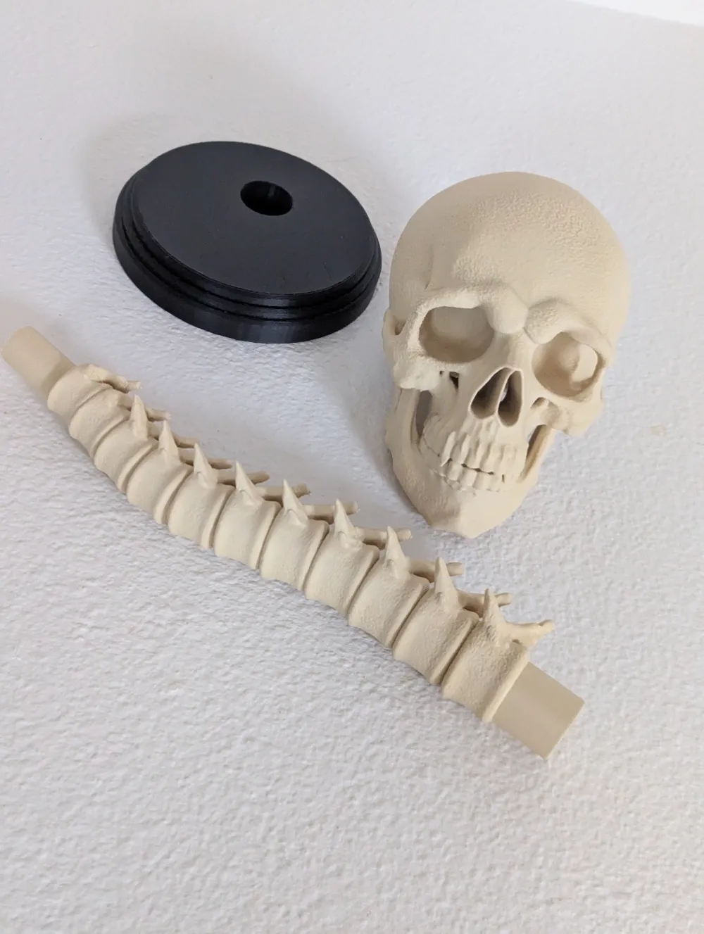 Skull and Spine with Base by DZ3D MakerWorld: Download Free 3D Models