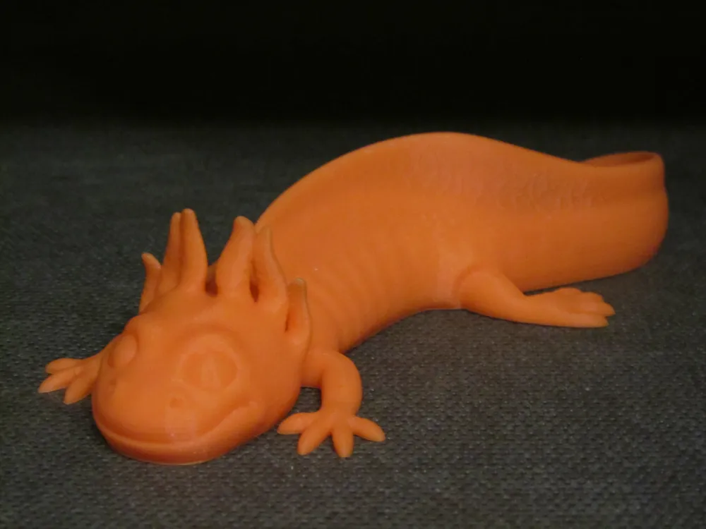 Axolotl - Realistic by Alsamen - MakerWorld