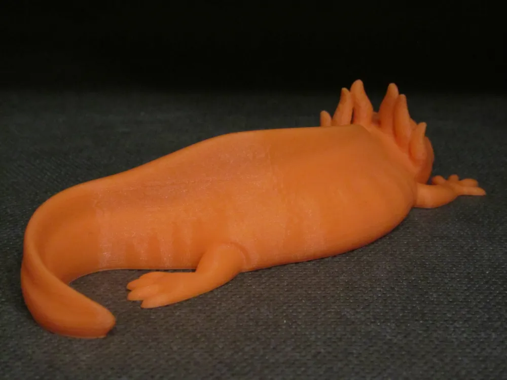 Axolotl - Realistic by Alsamen - MakerWorld
