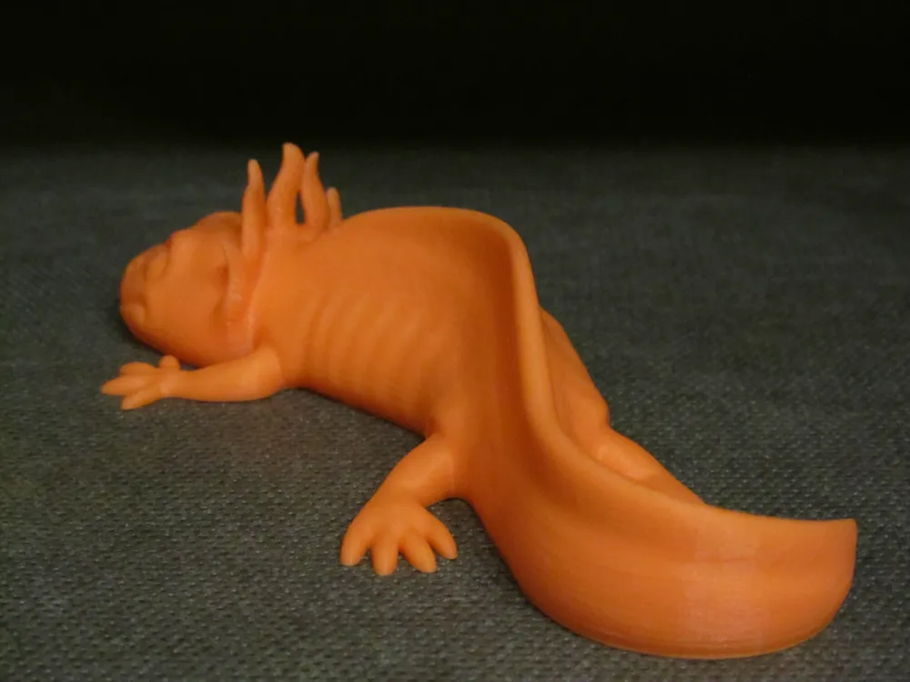 Axolotl - Realistic by Alsamen - MakerWorld