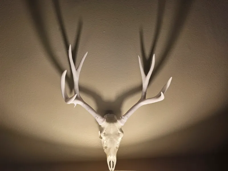 dtm247 | Published - MakerWorld