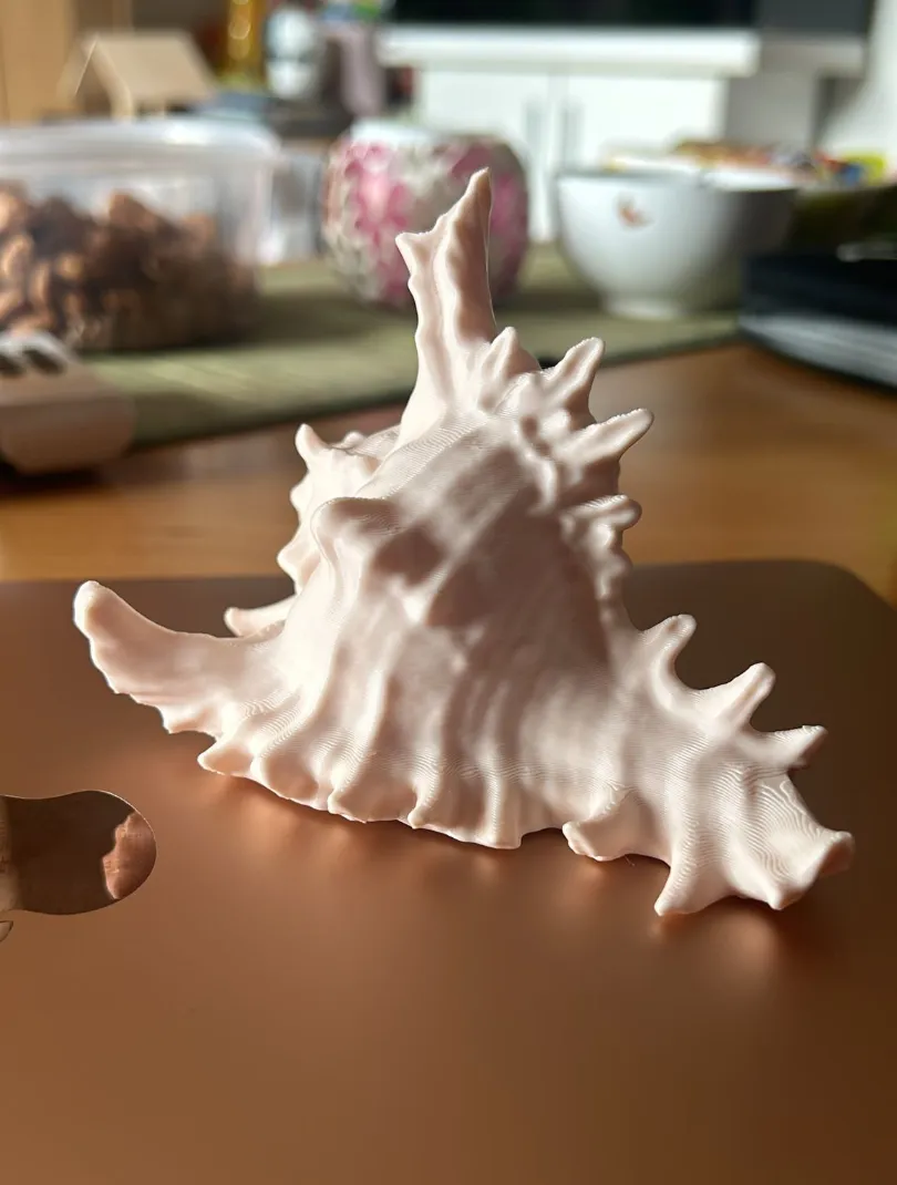 große Muschel / big shell Aquarium / Terrarium by F&H - MakerWorld