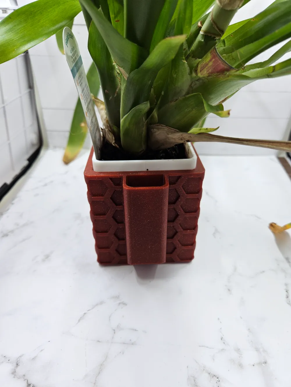 planter /self watering by Captain_May - MakerWorld