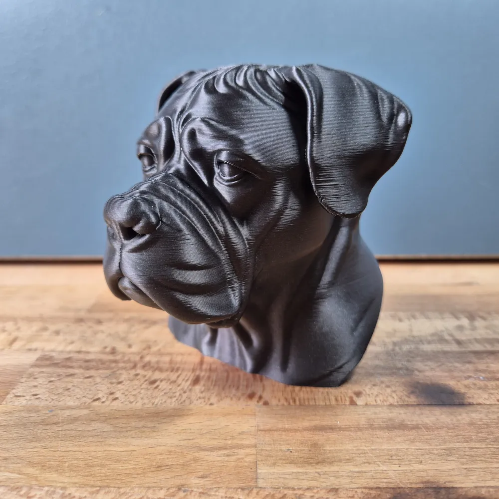 Cane Corso Bust by Mr.Jay MakerWorld: Download Free 3D Models