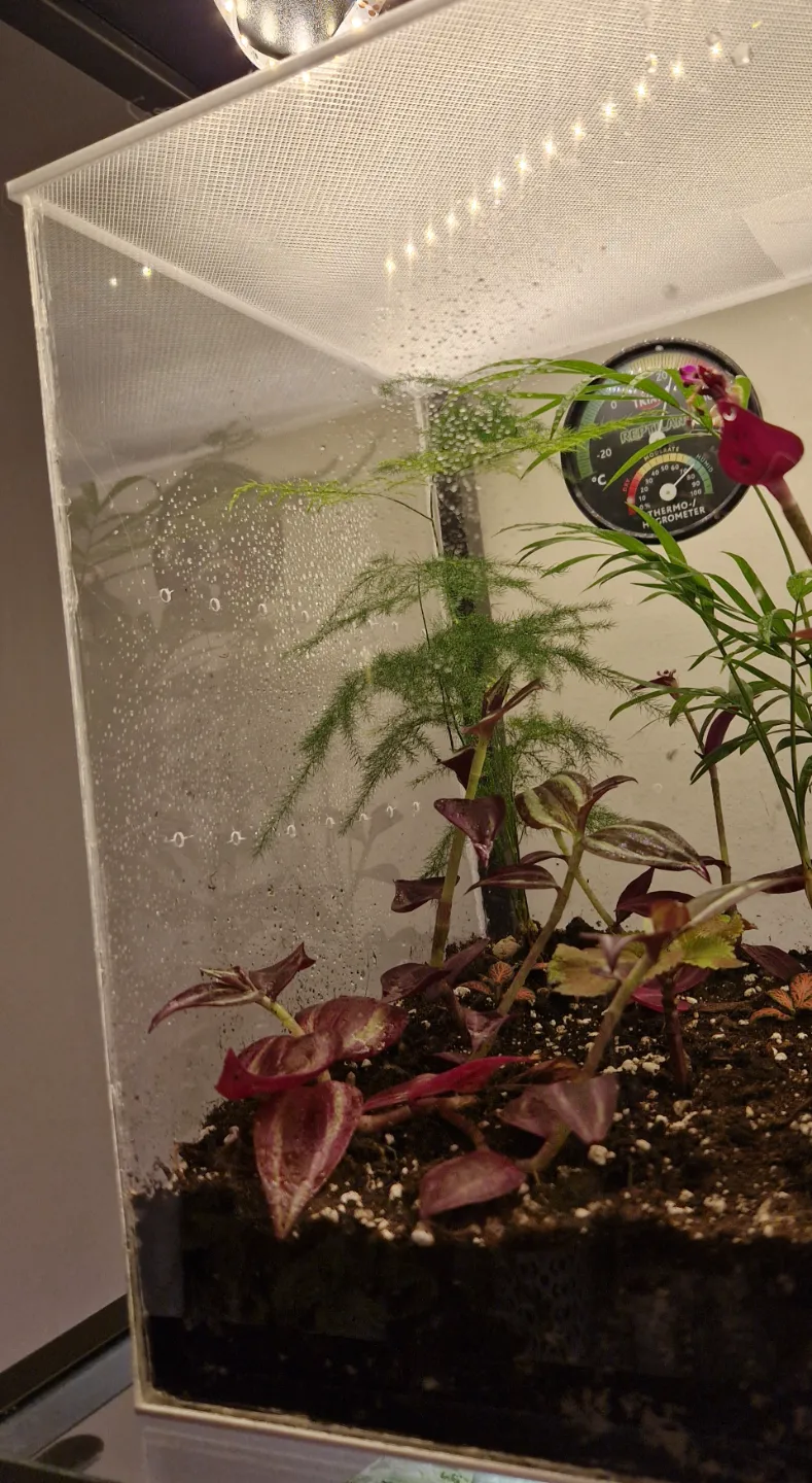 Terrarium/aquarium mesh lid Remixed by SkinnyKirby - MakerWorld