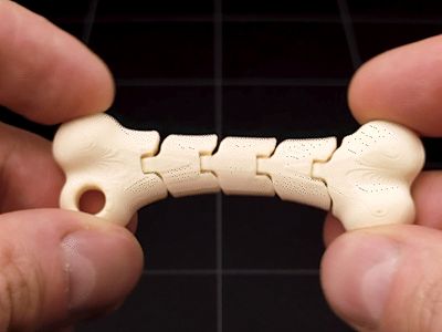 Flexible Bone keychain by bigovereasy - MakerWorld