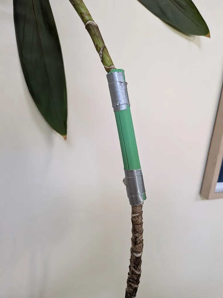 Parametric Tree growth Support Splint by HoneyNutz - MakerWorld