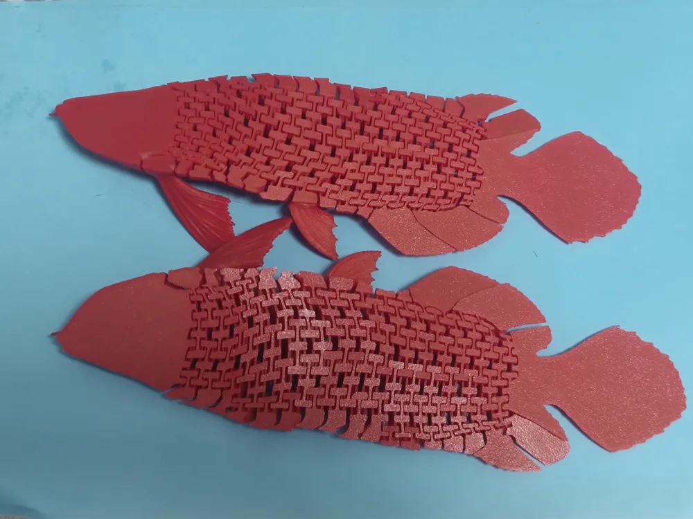 Arowana - Free 3D Print Model - MakerWorld
