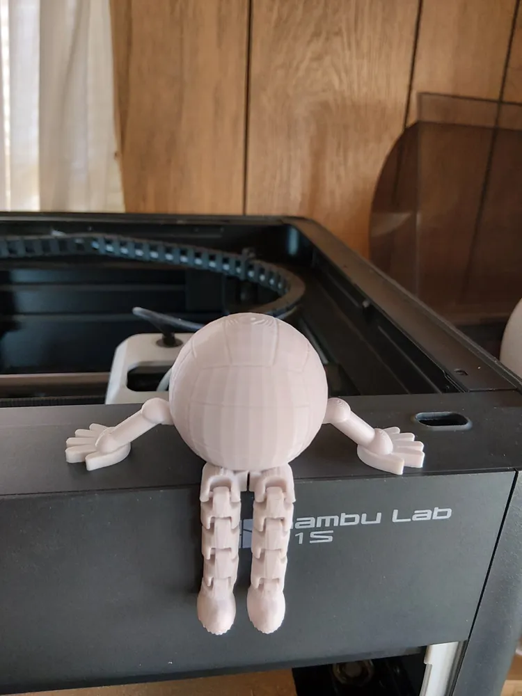 Volleyball Buddy - Free 3D Print Model - MakerWorld
