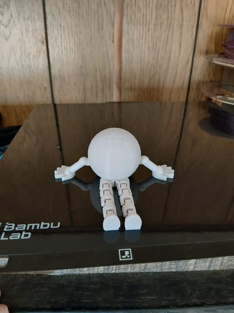 Volleyball Buddy - Free 3D Print Model - MakerWorld