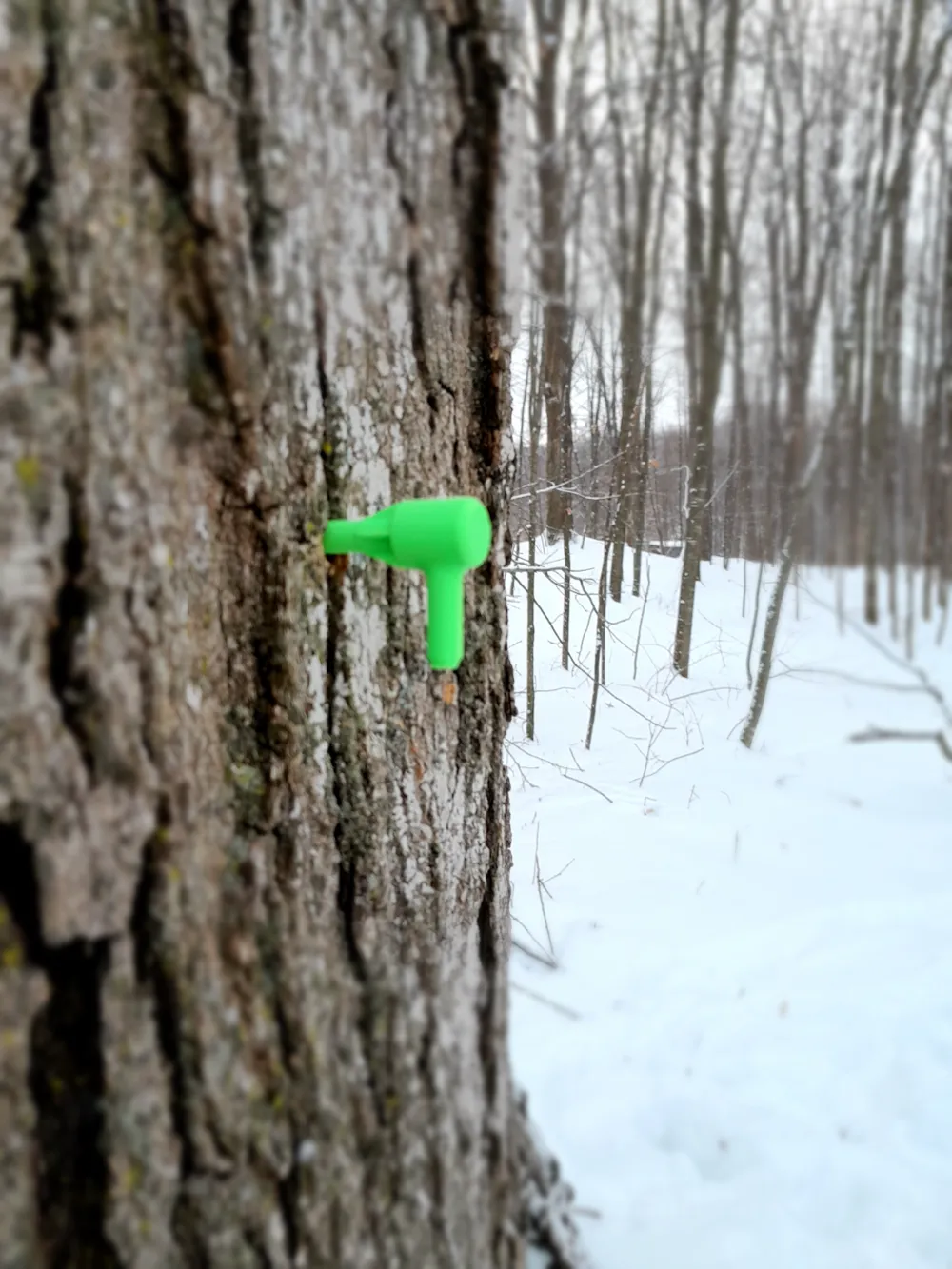 Maple Syrup Tap and 3 way splitter by Hart Prints Co. MakerWorld ...