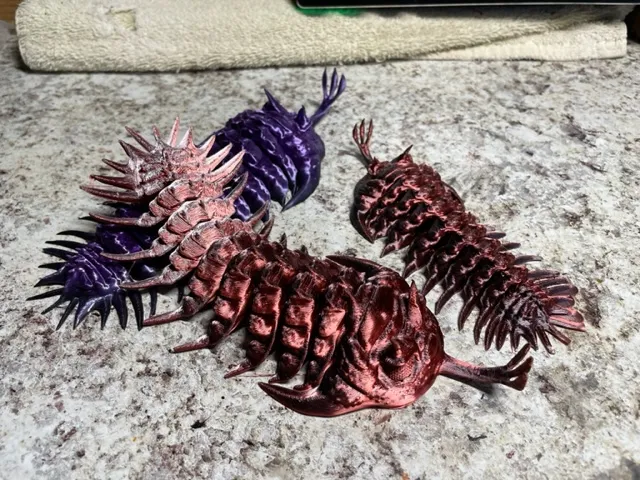 Walliserops sp. Trilobite, Artioculated by Auntie Fa - MakerWorld