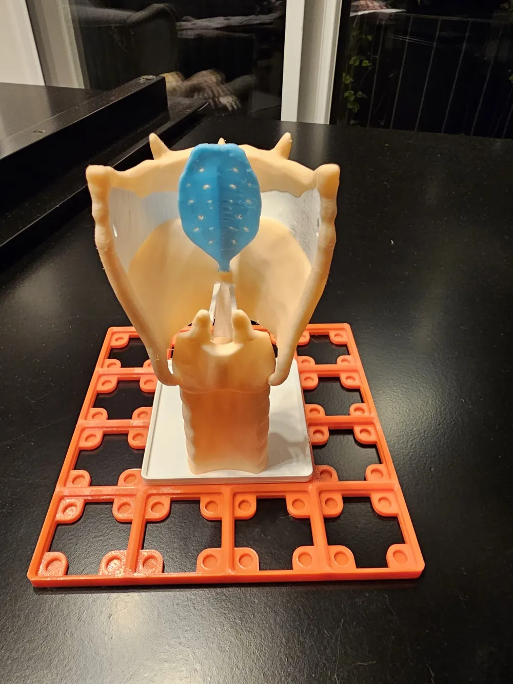 Gridfinity Anatomical Larynx Model Multicolor Remixed by Azrael ...