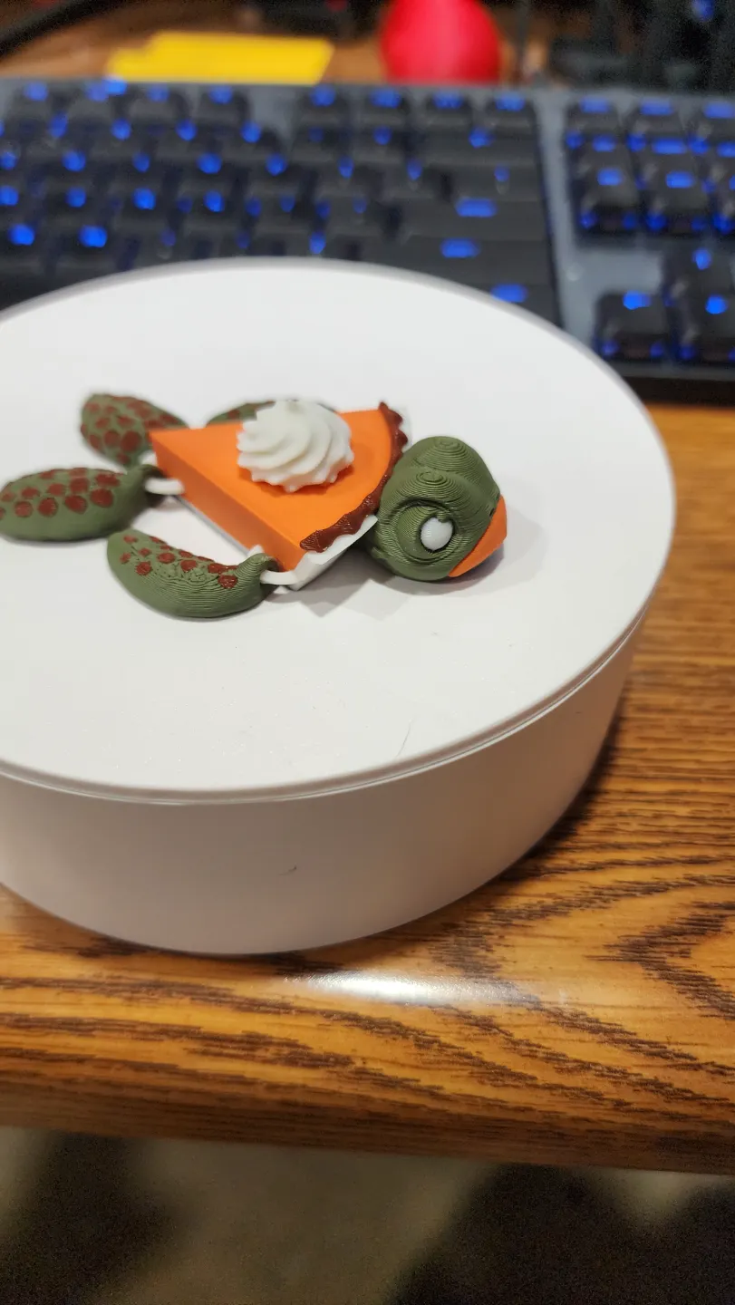 Slice The Baby Pumpkin Pie Turtle by TCS ThreeD - MakerWorld