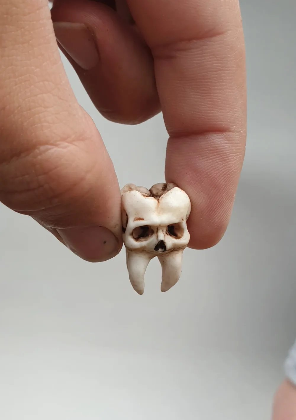 Realistic Tooth Keychain – 3D Printable Cute Molar by Imagina.3d ...