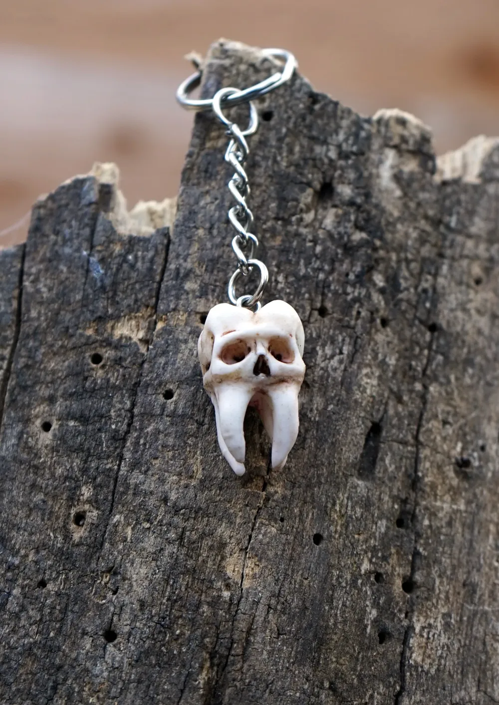 Realistic Tooth Keychain – 3D Printable Cute Molar by Imagina.3d ...