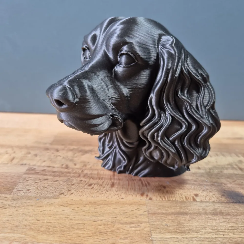 Springer Spaniel Bust by Mr.Jay MakerWorld: Download Free 3D Models