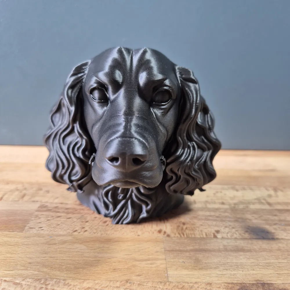 Springer Spaniel Bust by Mr.Jay MakerWorld: Download Free 3D Models