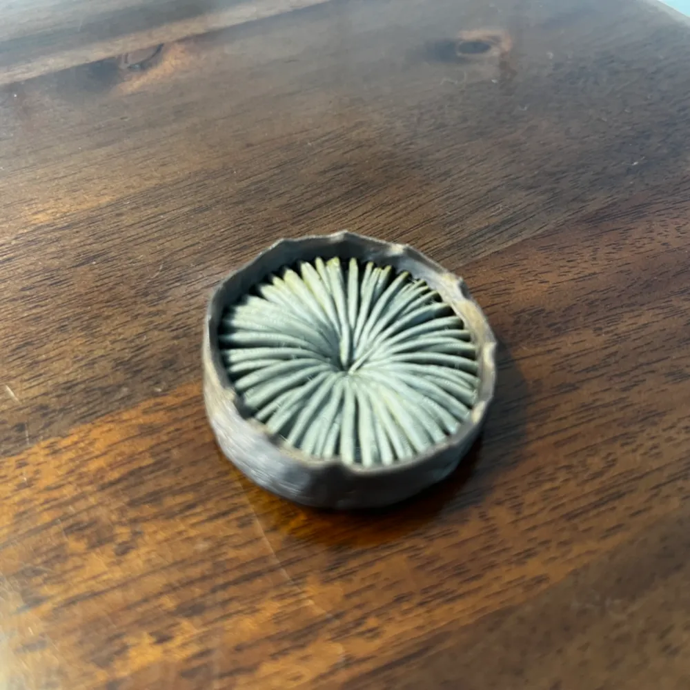 Dune: Imperium Insert w/Expansions, sandworm token Remixed by Jerald ...